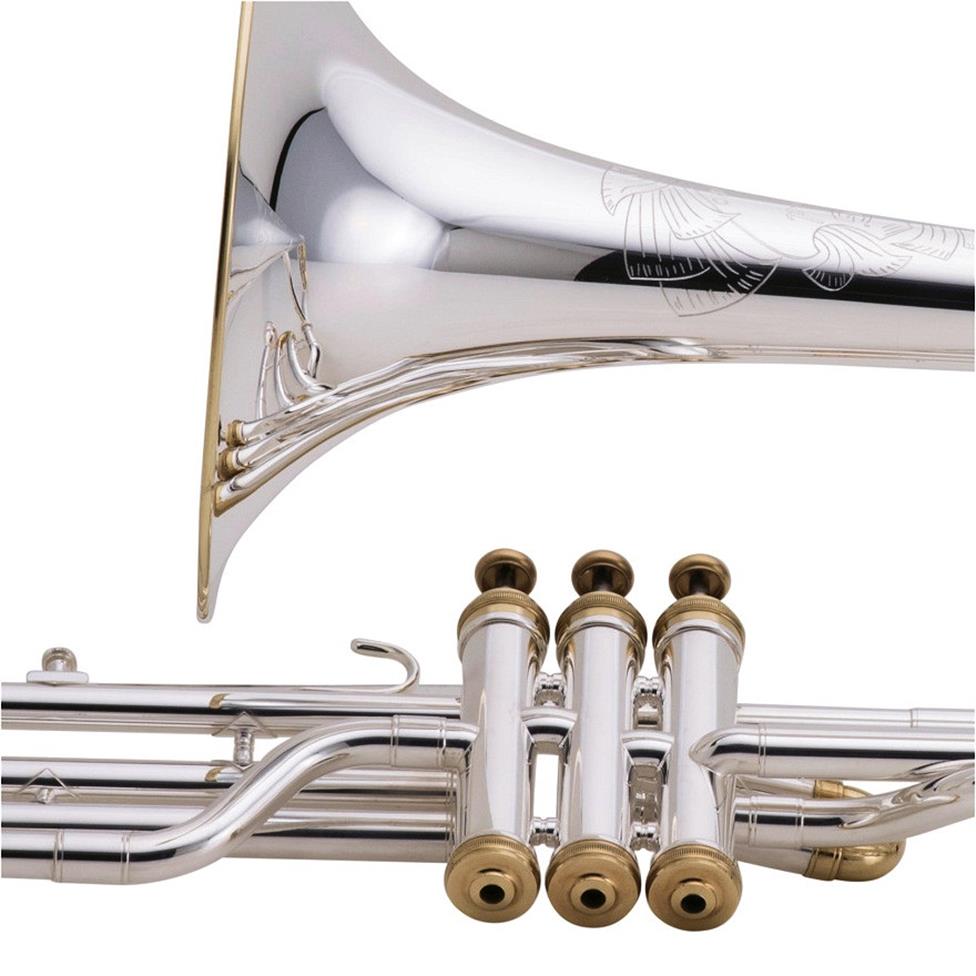 King 2166 | Rosehill Instruments