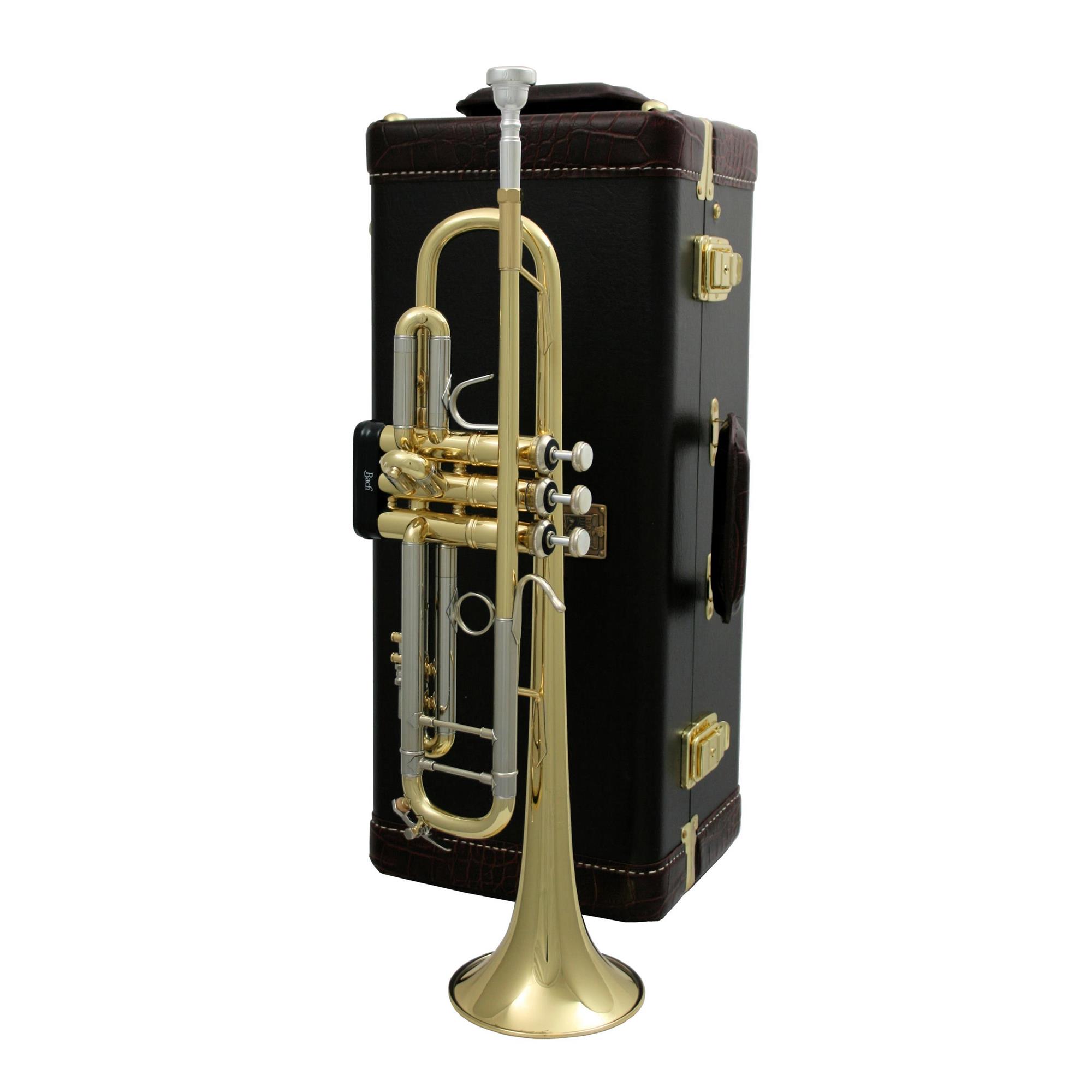 Vincent Bach 18037 | Rosehill Instruments